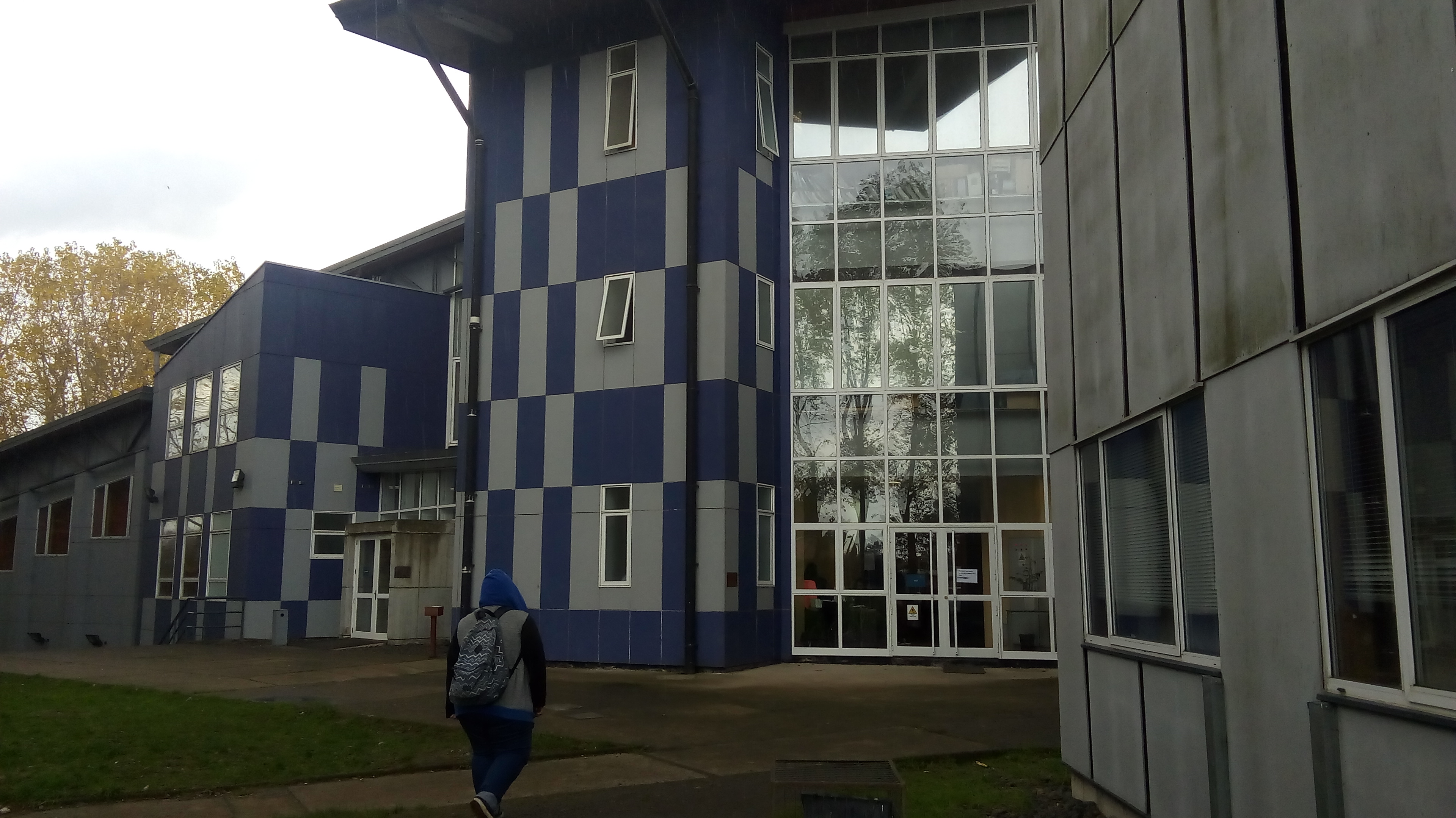 Universidad de Los Lagos