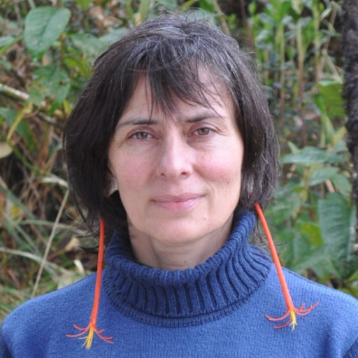 Universidad de Los Lagos