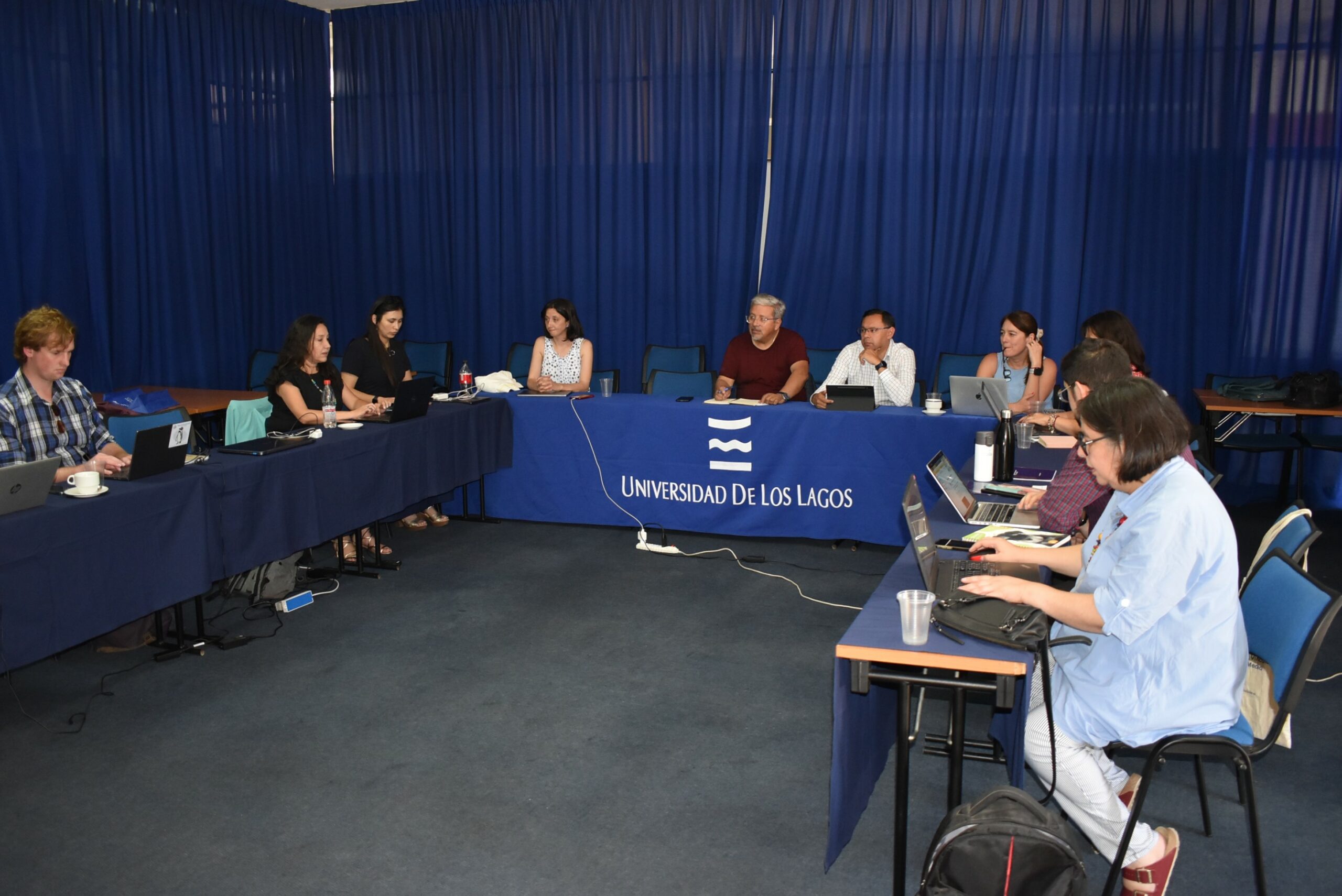 Universidad de Los Lagos